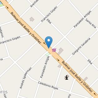 Zadama Plantas Y Flores | Viveros | Aires Puros